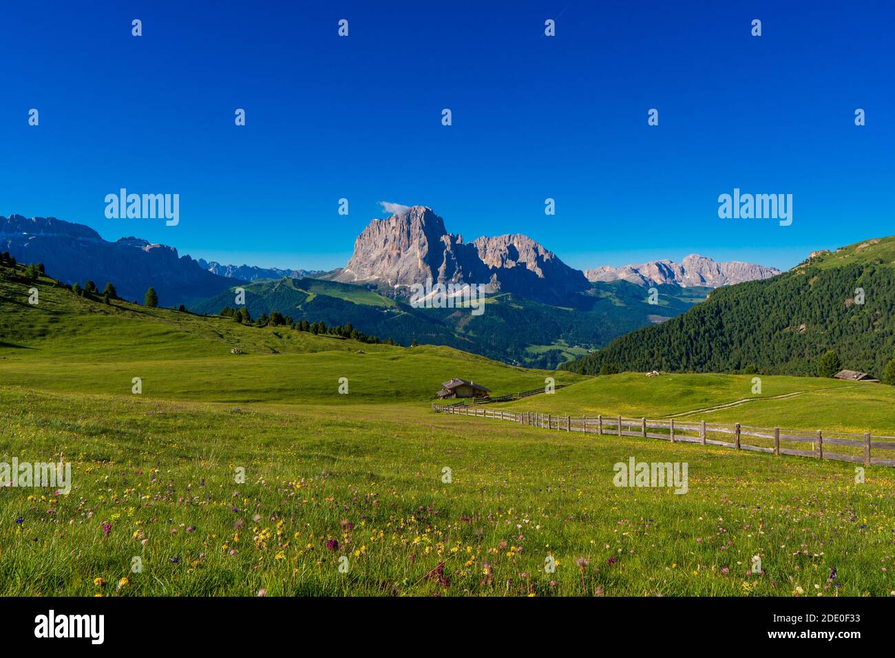 Beautiful alpine countryside. Awesome Alpine landscape with traditional ...