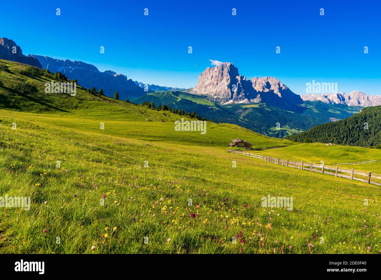 Traditional Wooden Alpine House High Resolution Stock Photography and ...