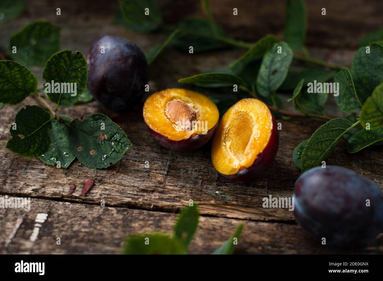 Aesthetic Shoot of cut plum with branches like in grandmother garden ...