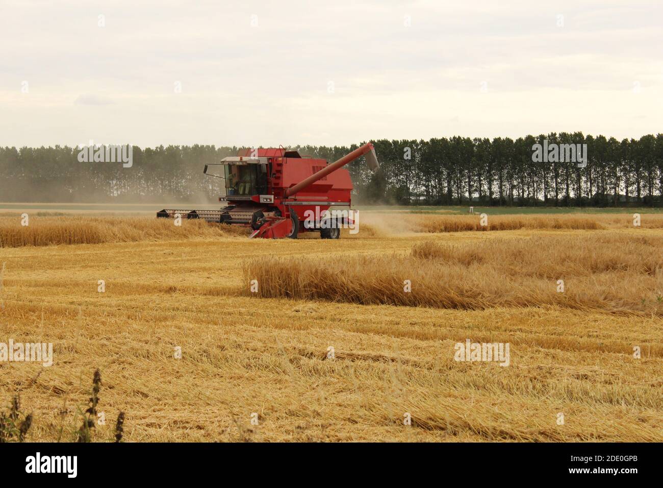 Red combine harvester hi-res stock photography and images - Alamy