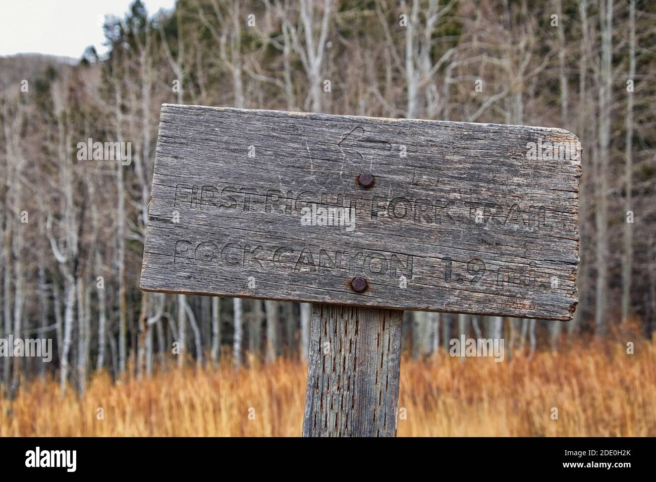 Trail Sign on the Y trail, Provo Peak hiking trail by Y Mountain, up ...