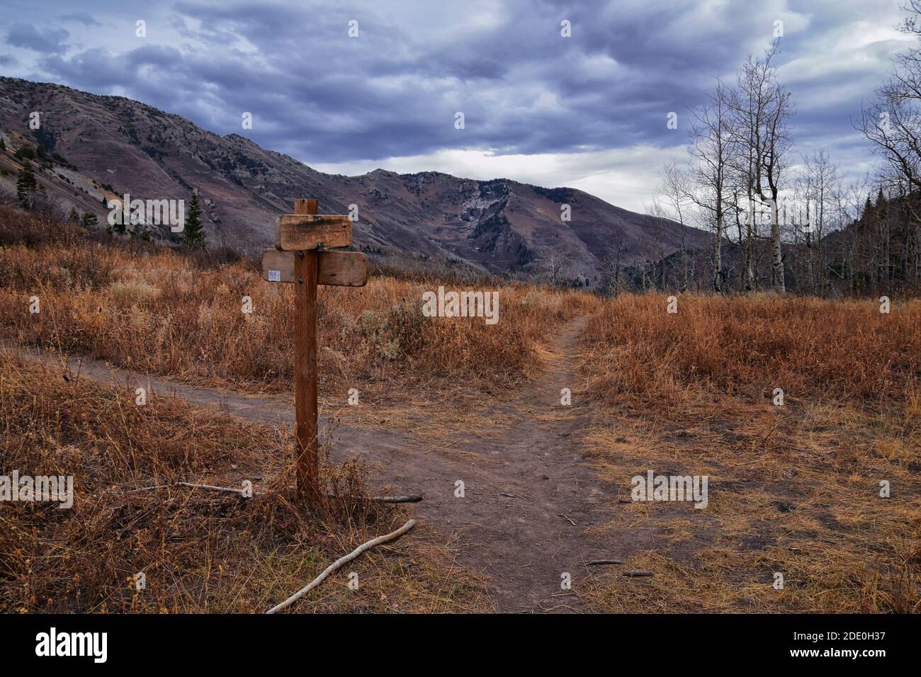 Trail Sign on the Y trail, Provo Peak hiking trail by Y Mountain, up ...