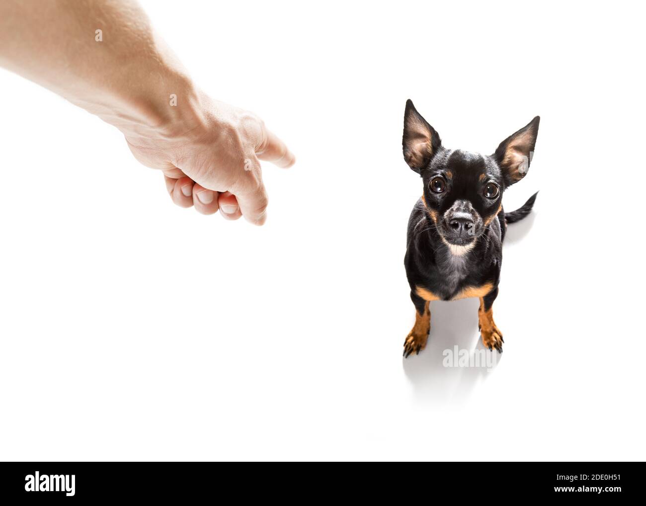 Angry Dog Walker High Resolution Stock Photography and Images - Alamy