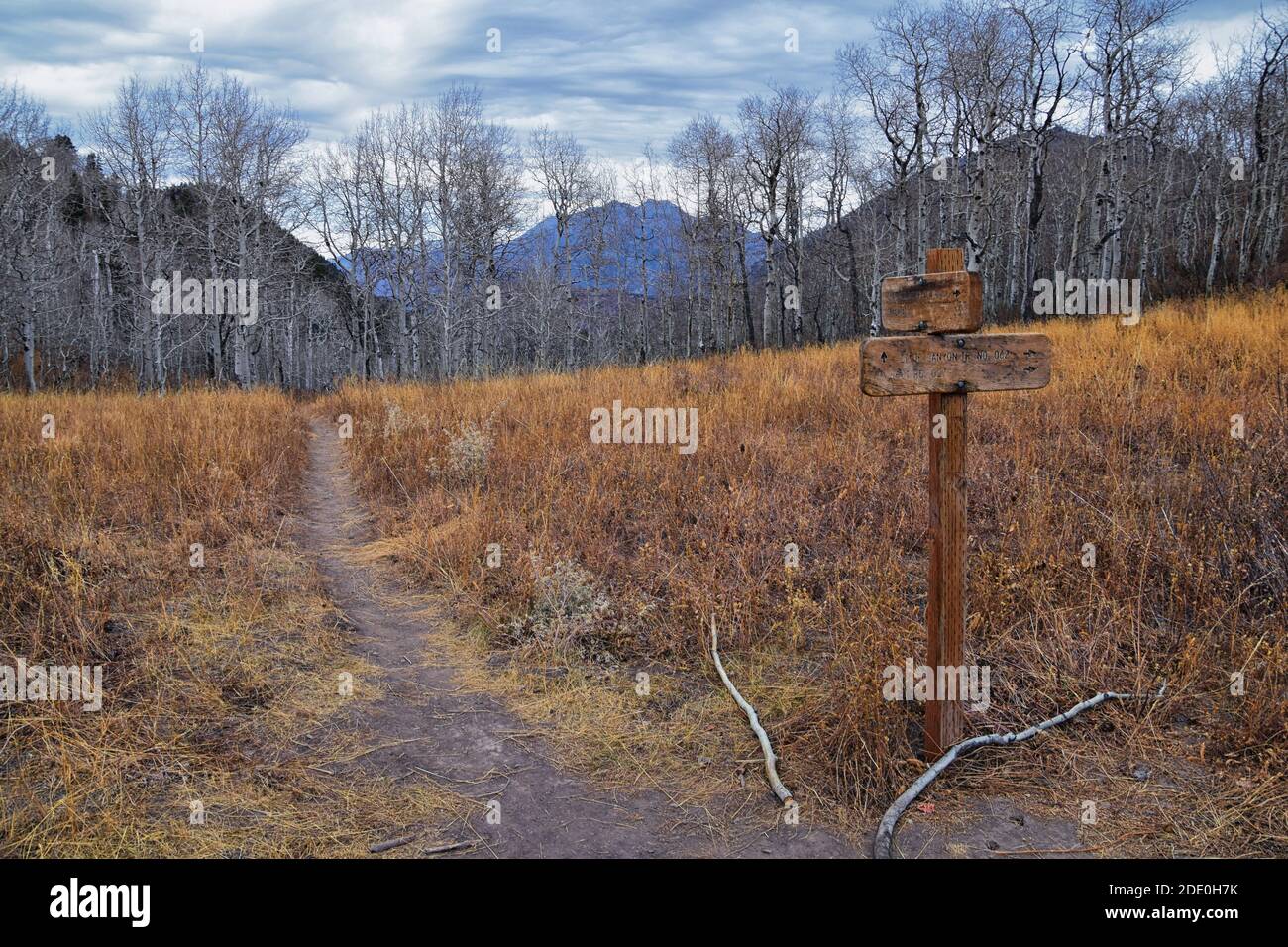 Trail Sign on the Y trail, Provo Peak hiking trail by Y Mountain, up ...