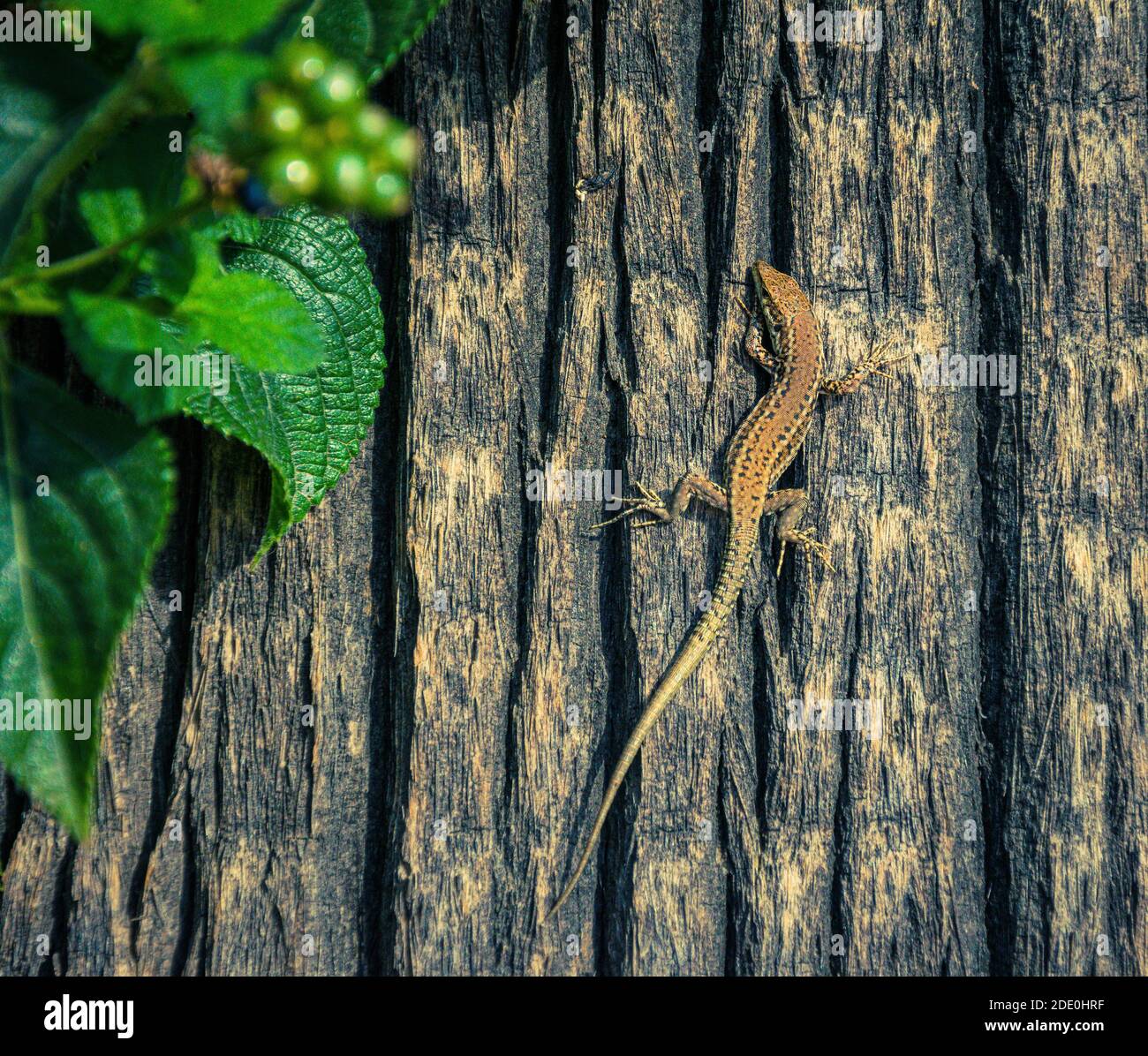 Taking scales hi-res stock photography and images - Alamy