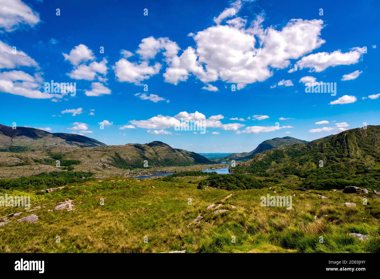 Ladies View, Killarney National Park, County Kerry, Ireland Stock Photo ...