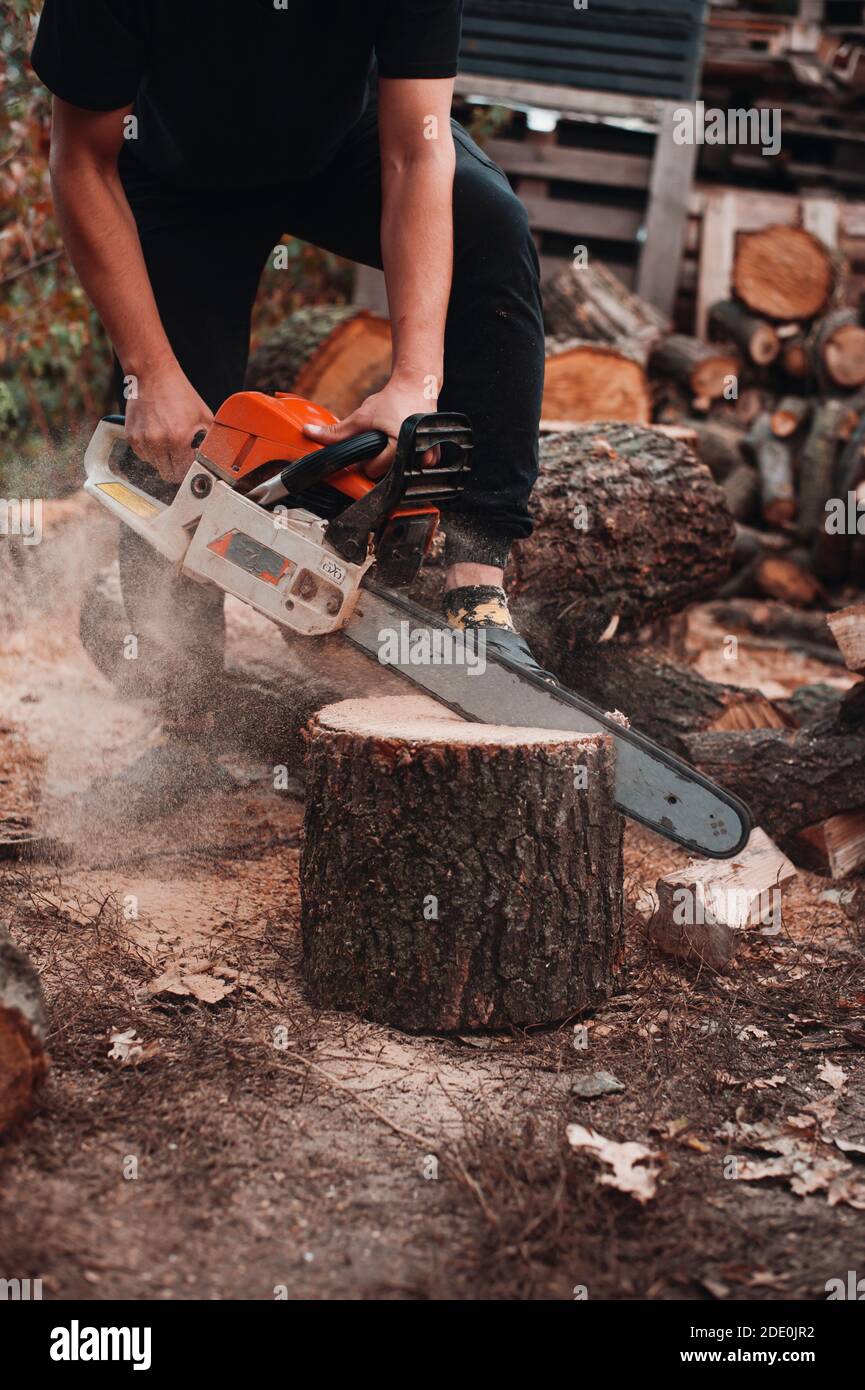 Chainsaw man wood hi-res stock photography and images - Alamy