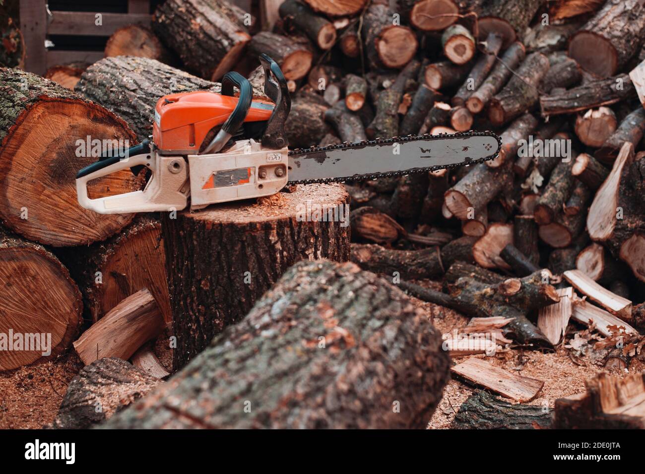 Chainsaw stay on stump on a sawmill Stock Photo - Alamy