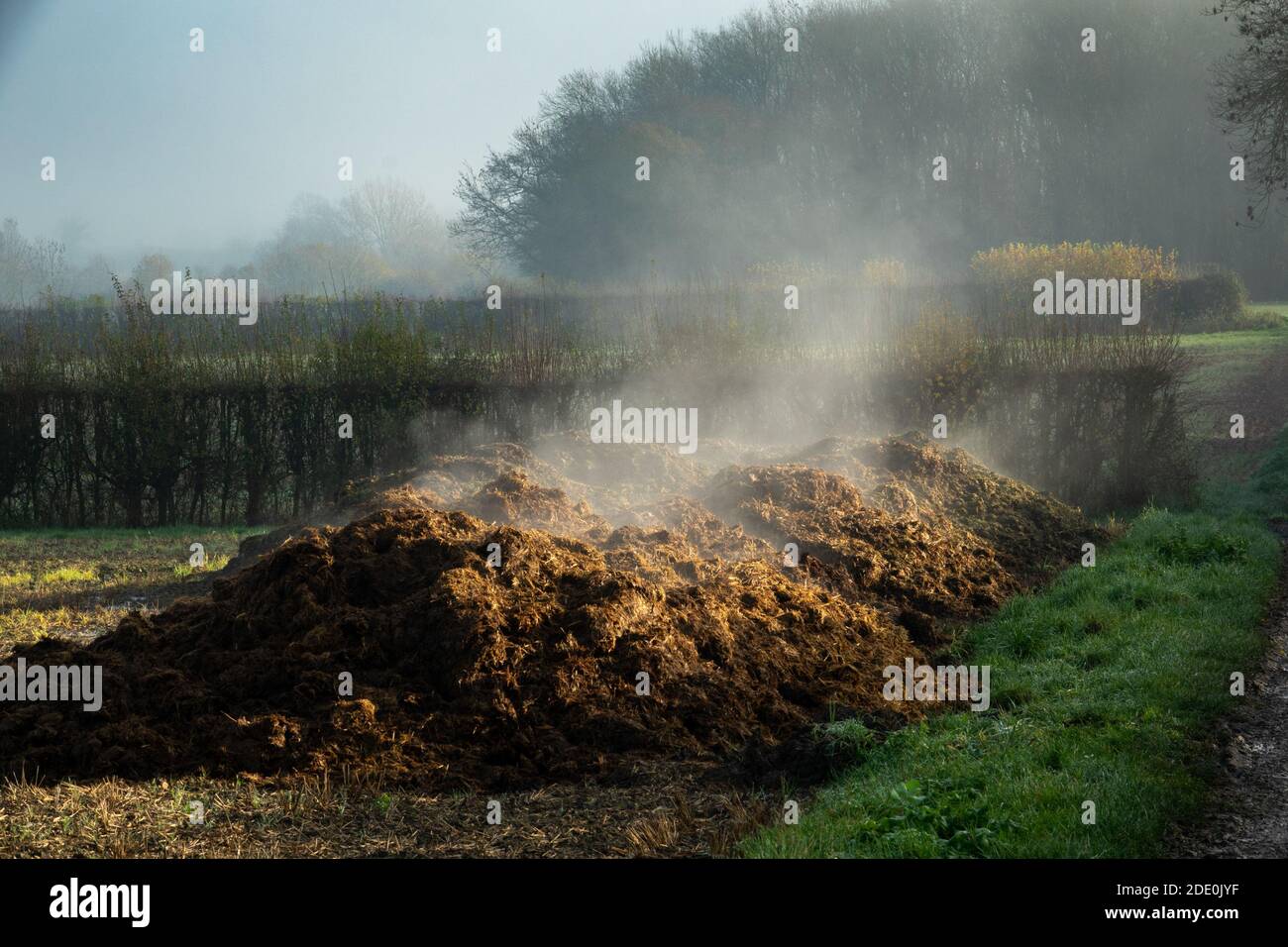 Muck heap uk hi-res stock photography and images - Alamy