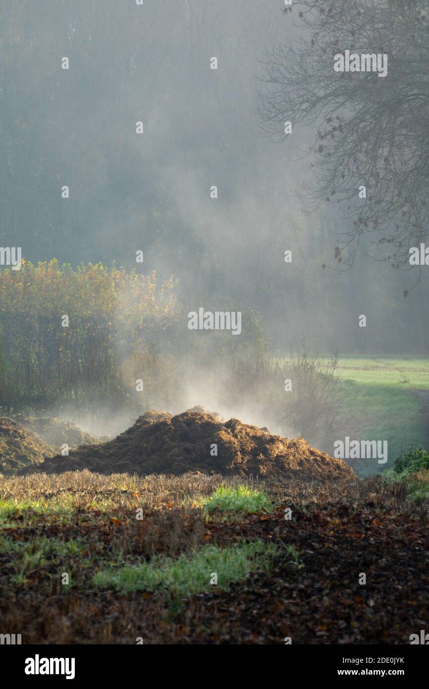 Muck heap uk hi-res stock photography and images - Alamy