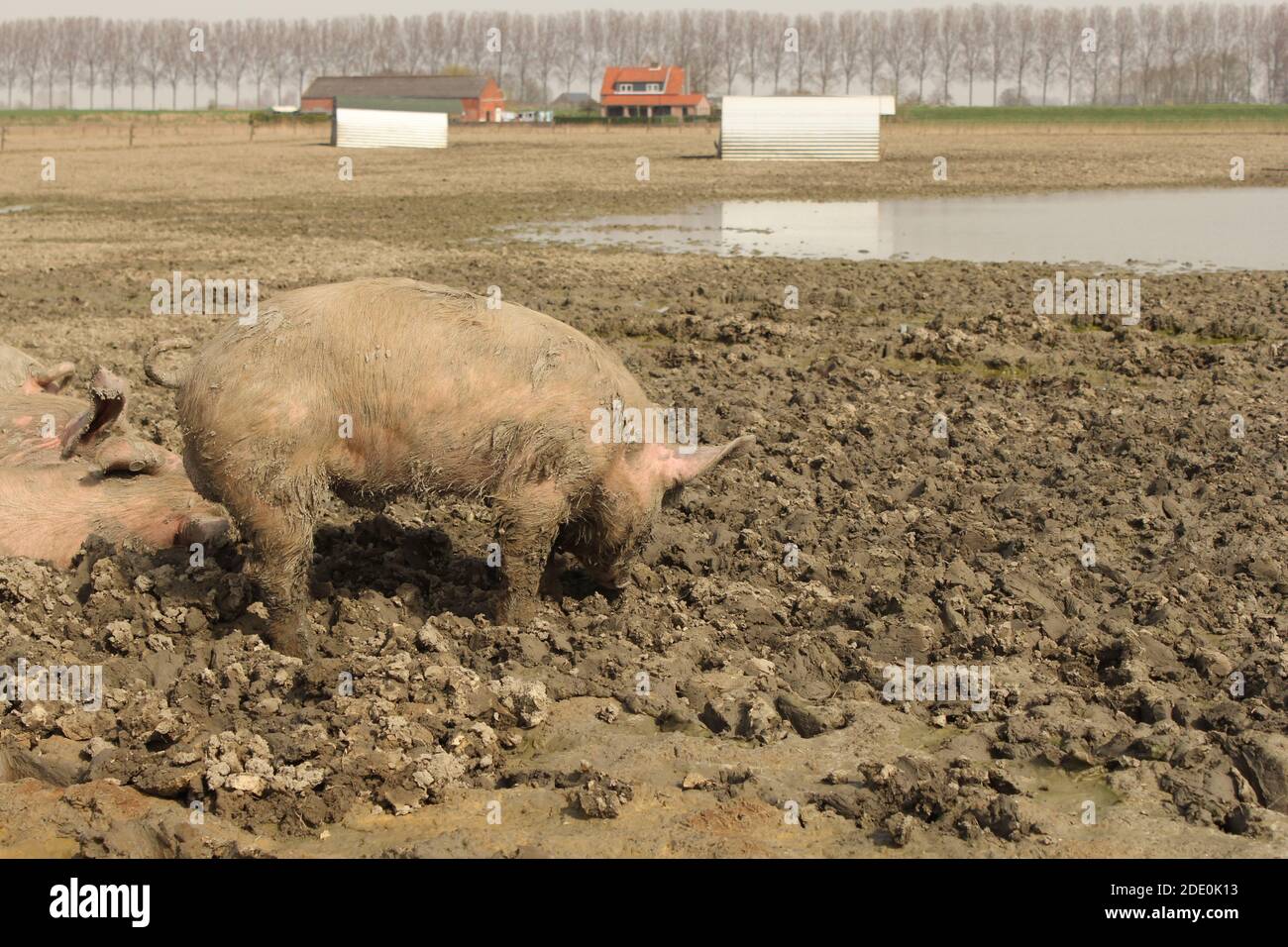 Rooting field countryside rural farming hi-res stock photography and ...