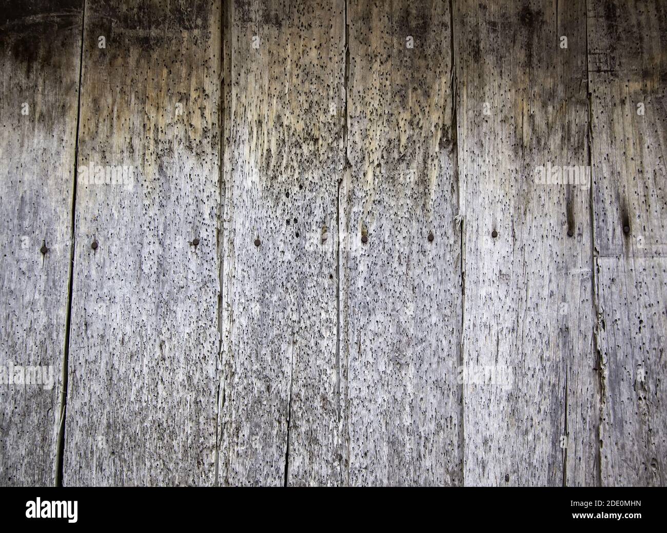 Wood texture on wall, backgrounds and construction Stock Photo - Alamy
