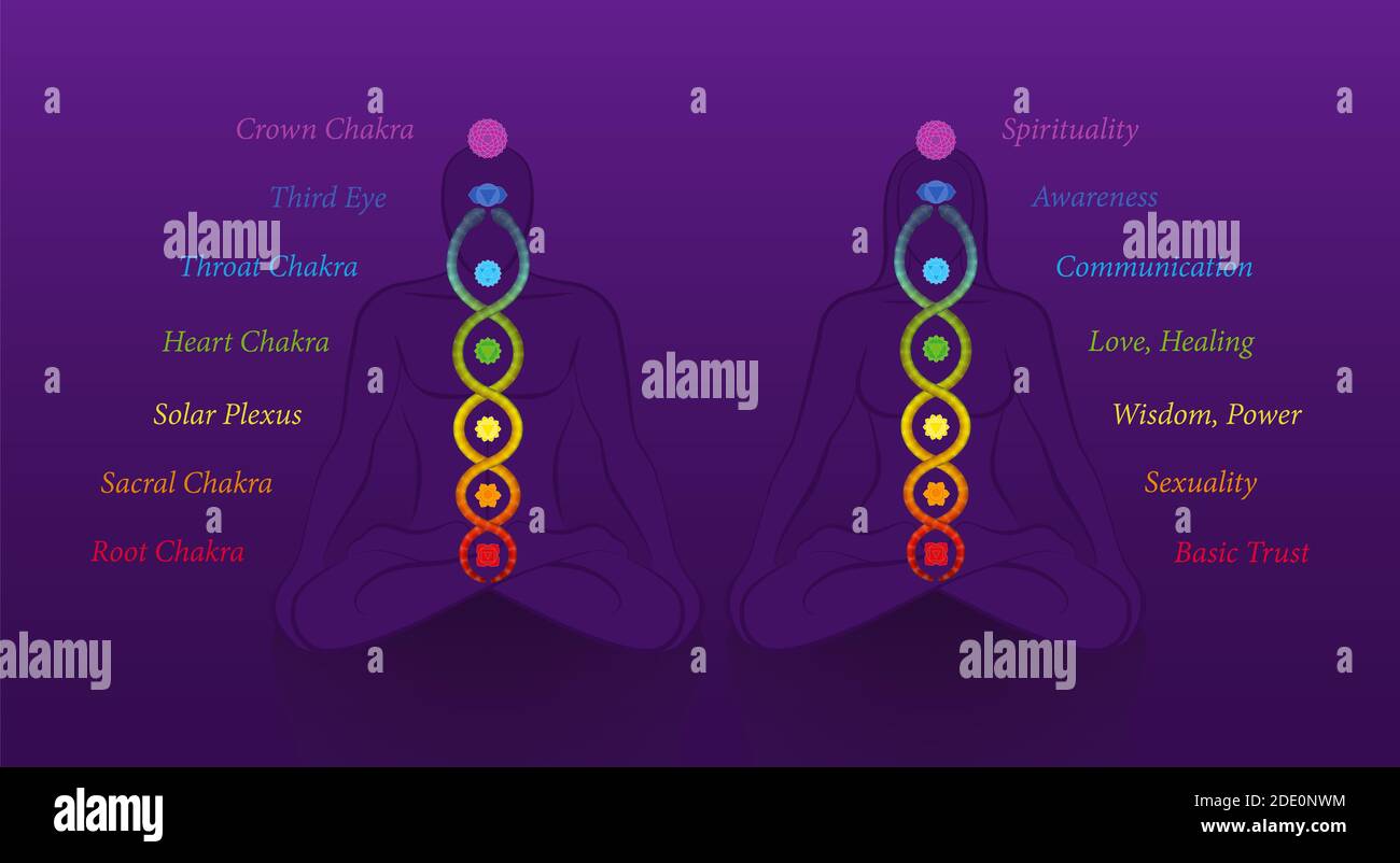 Meditating couple with seven main chakras and kundalini serpent or ...