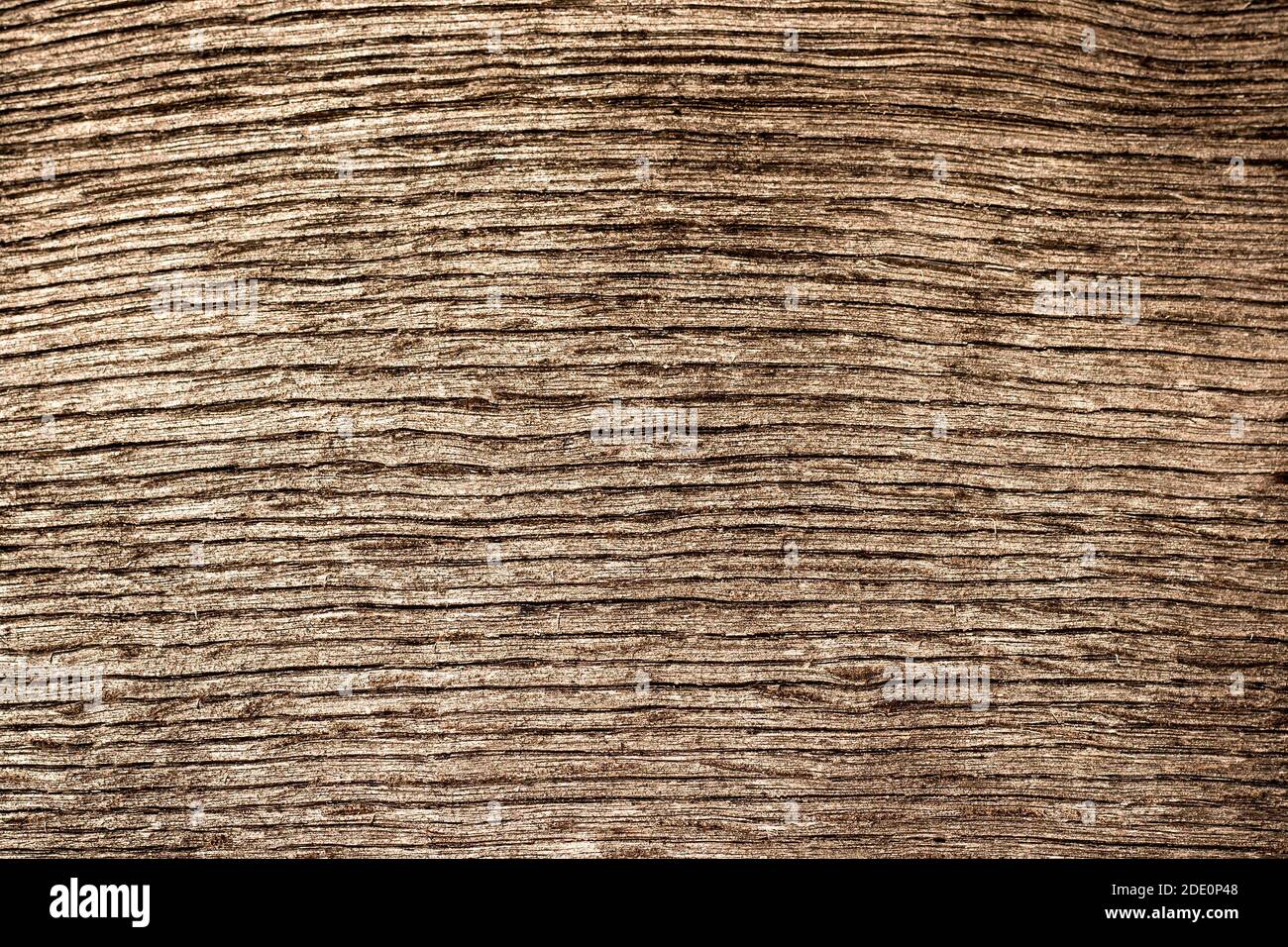 Wood texture close up Stock Photo - Alamy