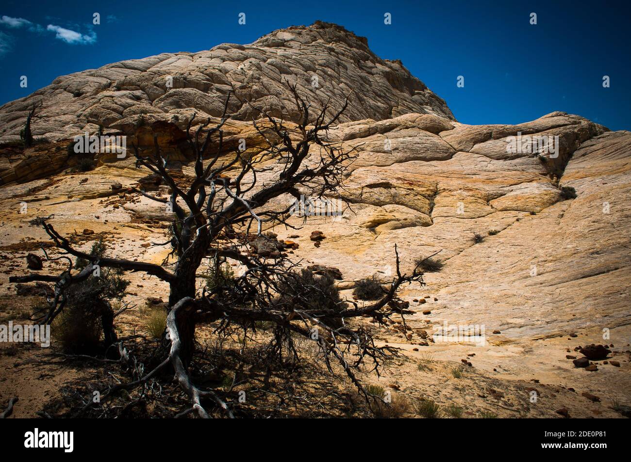 State Route 12 Utah, or Scenic Byway 12 (SR-12), also known as "Highway ...