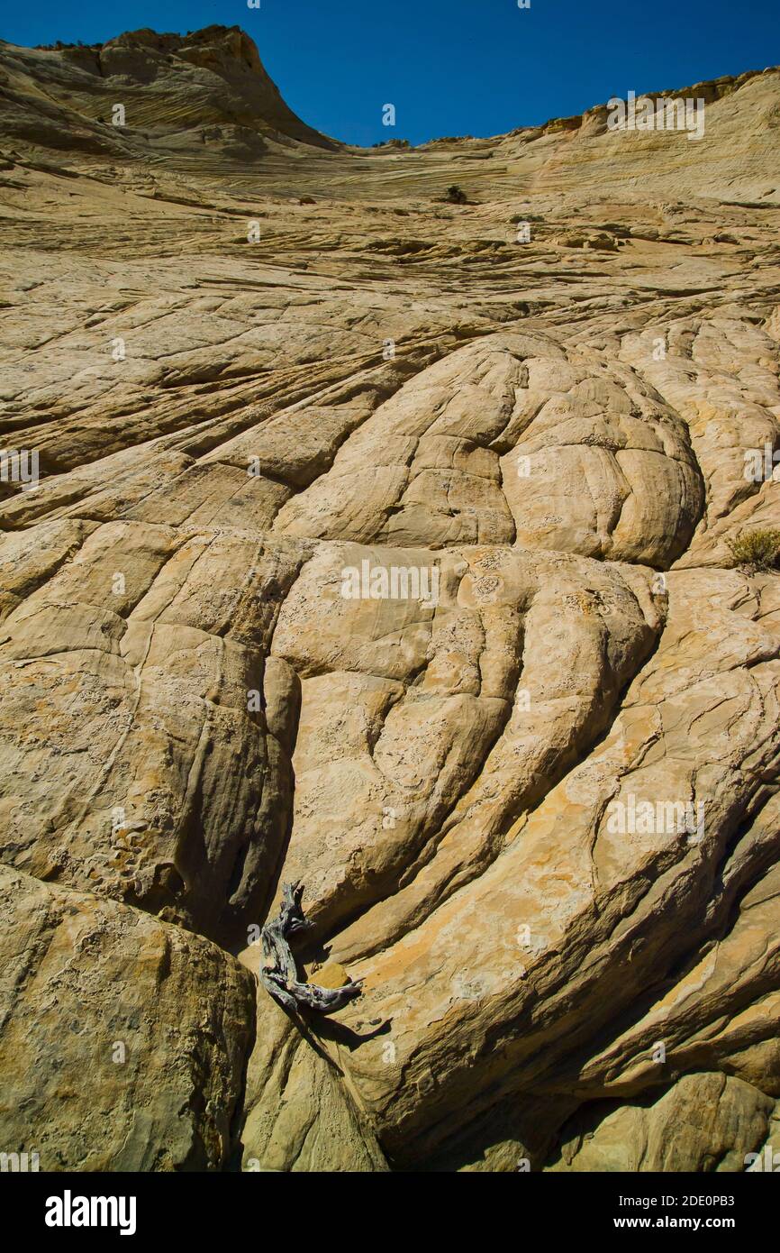 State Route 12 Utah, or Scenic Byway 12 (SR-12), also known as "Highway ...