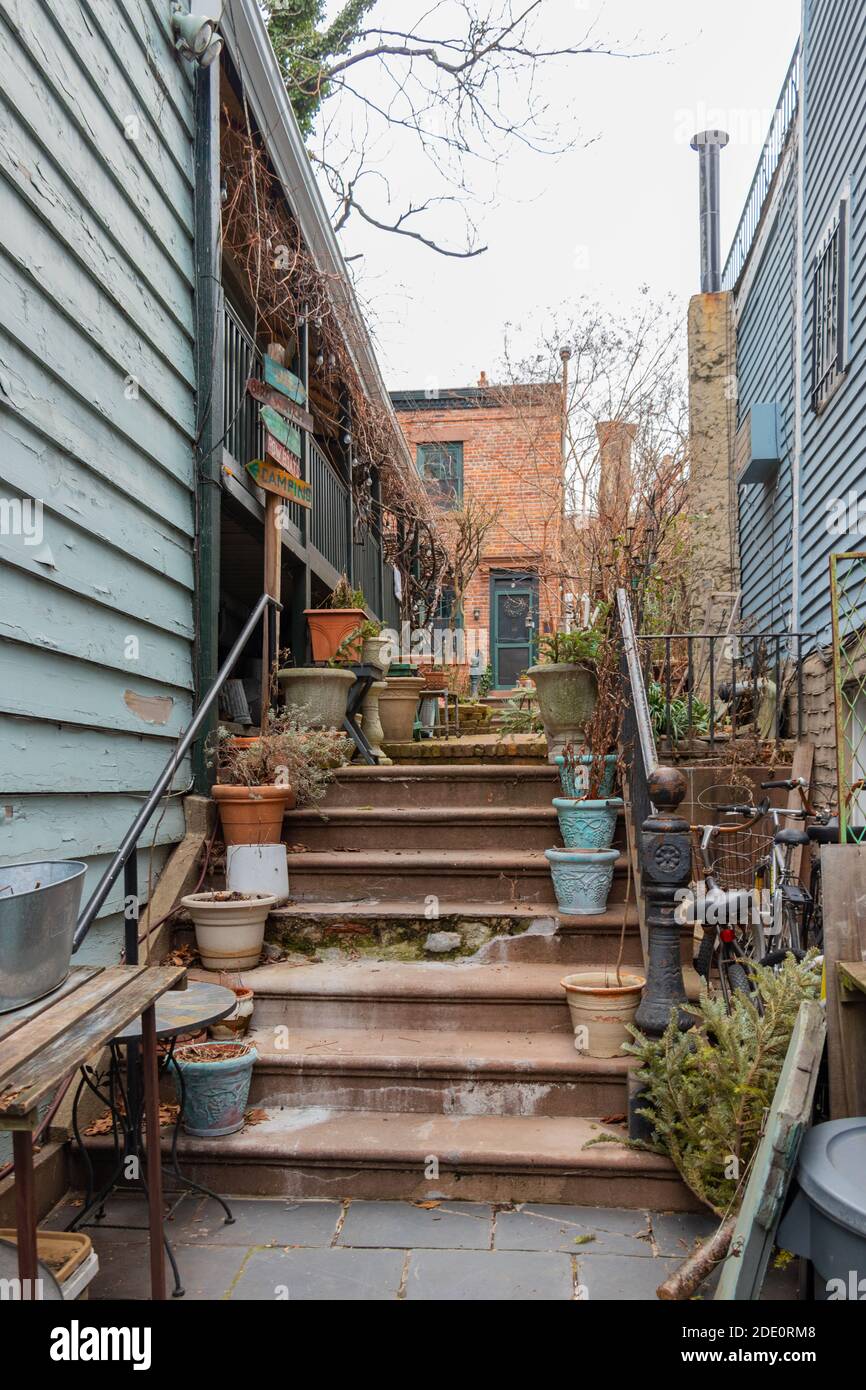 Urban residential backyard with wooden stairs, potted plants, and ...