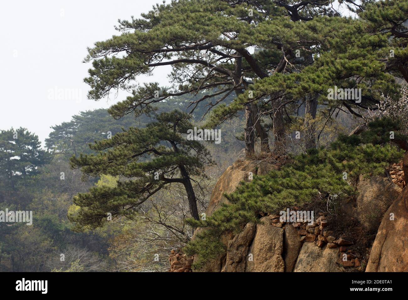 Qianshan National Park High Resolution Stock Photography and Images - Alamy