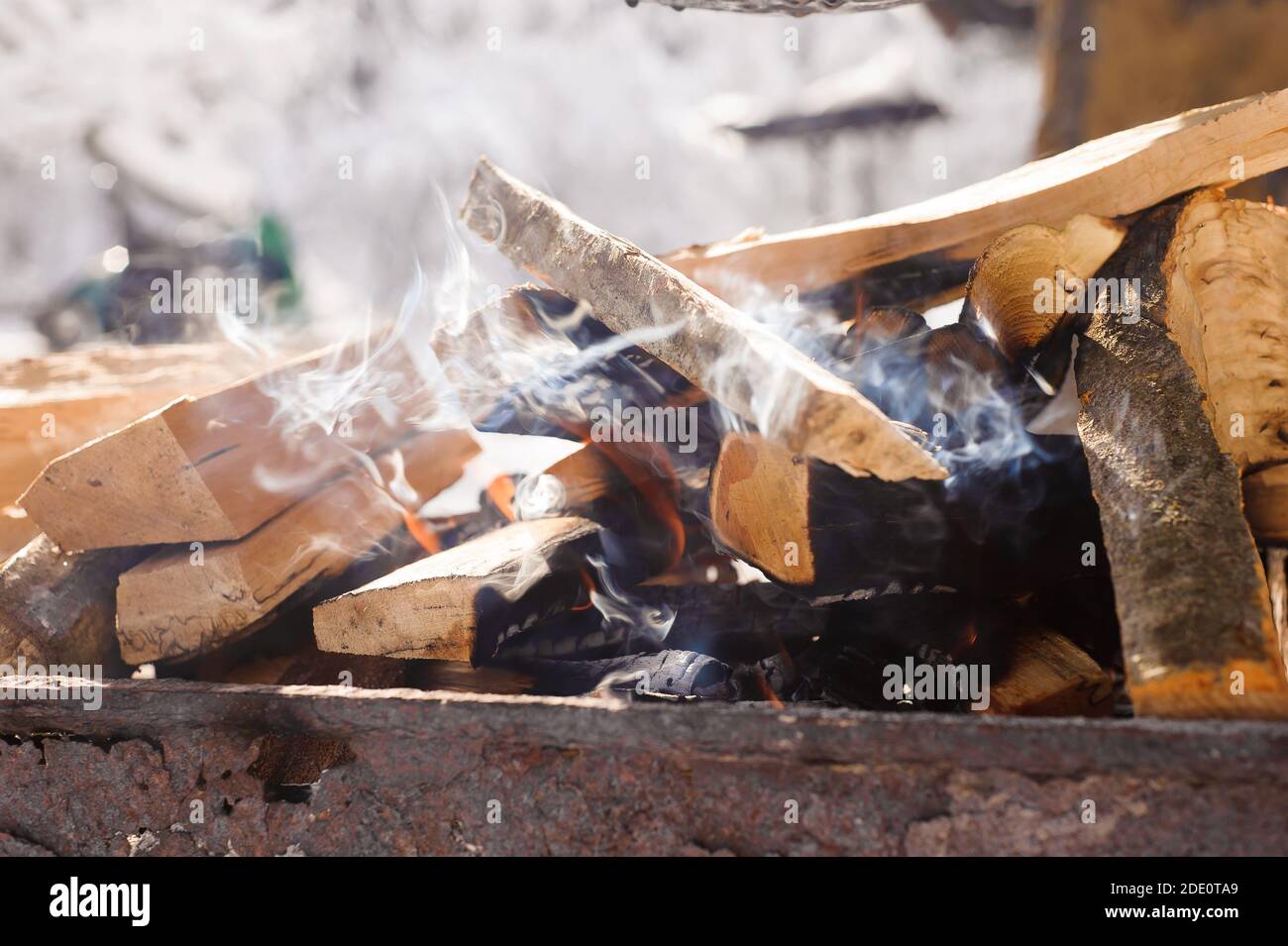 Bonfire, winter picnic, barbecue, barbecue firewood, cook Stock Photo ...