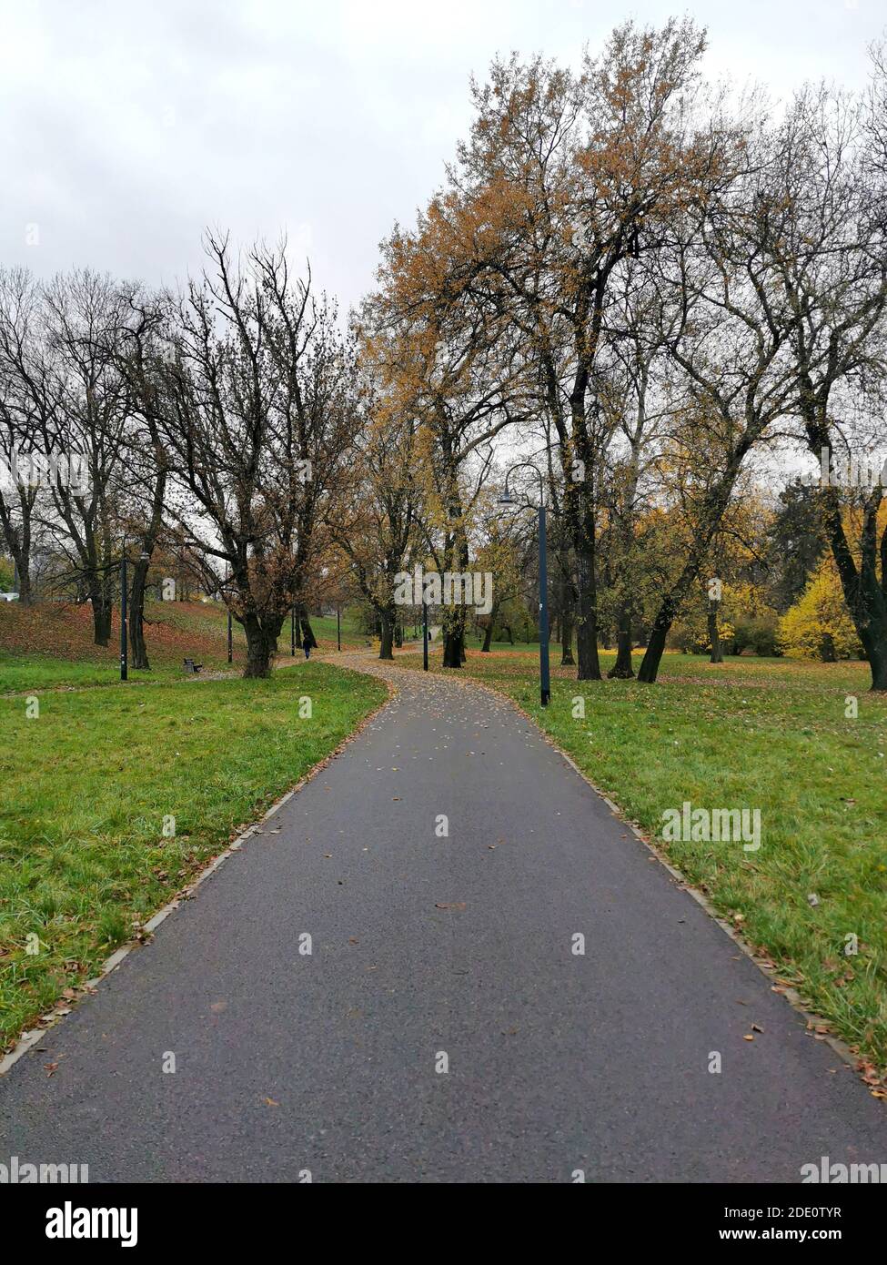 Empty park pathway hi-res stock photography and images - Alamy