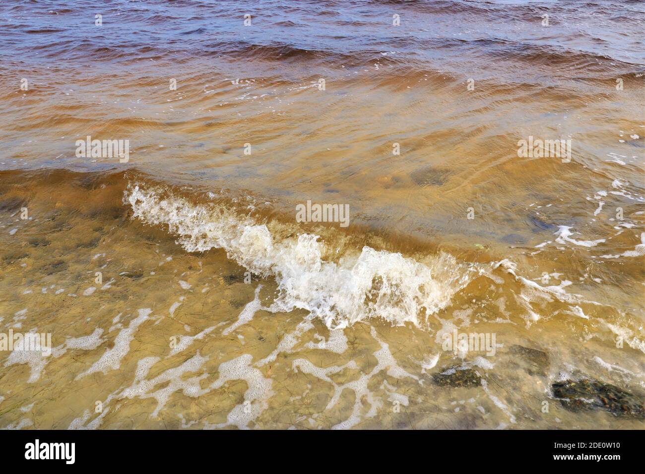 Small ocean waves splash near the coast of the Gulf of Mexico Stock ...