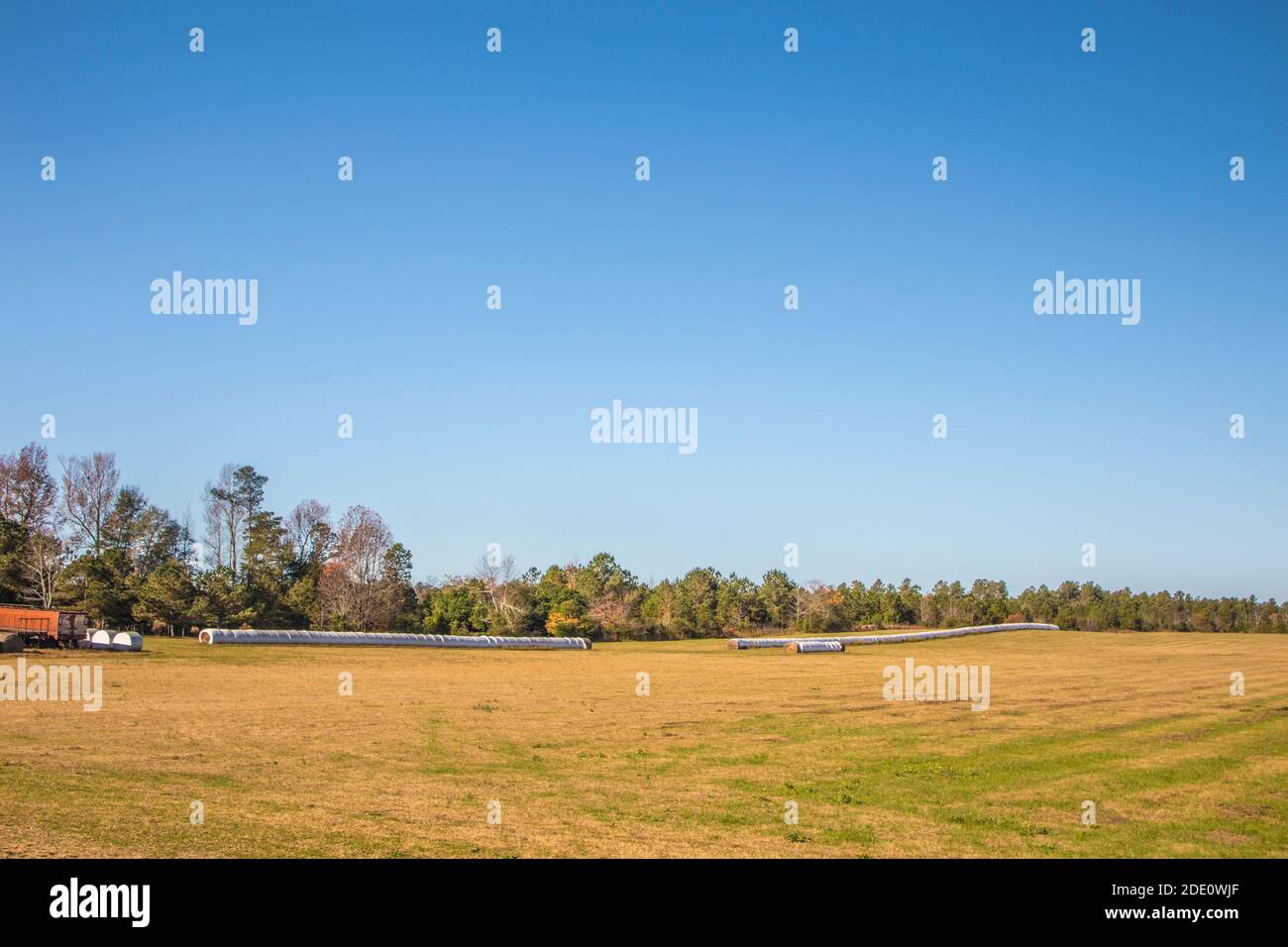 A farmland scene in the south in Georgia during the Fall Stock Photo ...