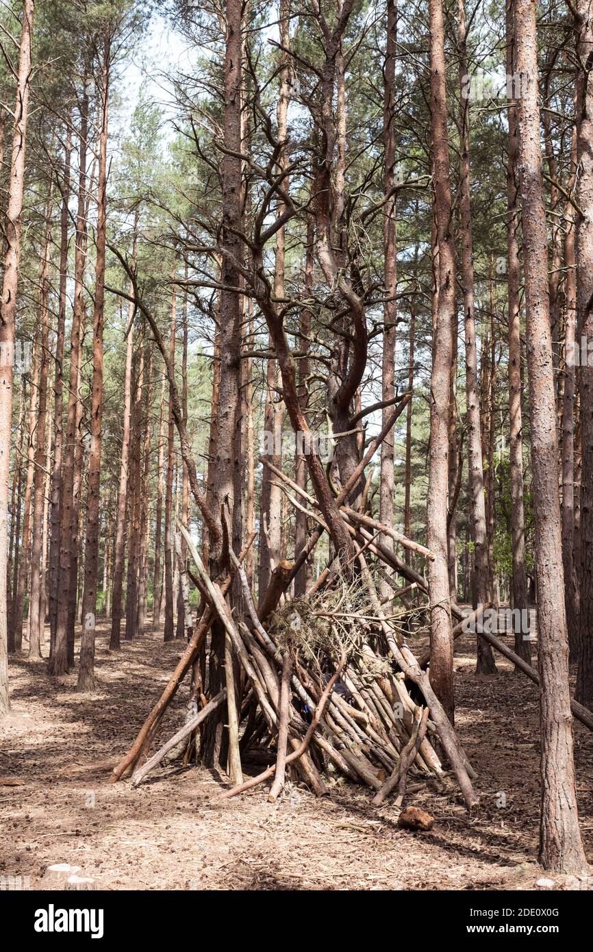 Den building forest hi-res stock photography and images - Alamy