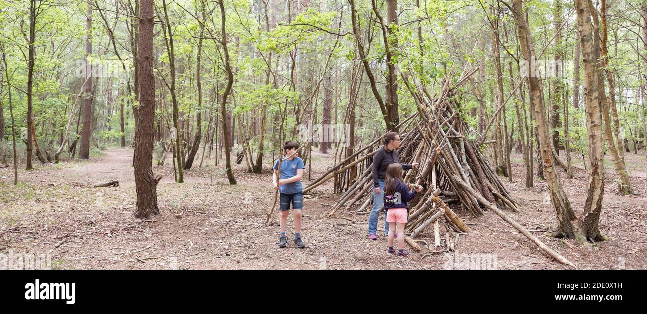 Den building forest hi-res stock photography and images - Alamy