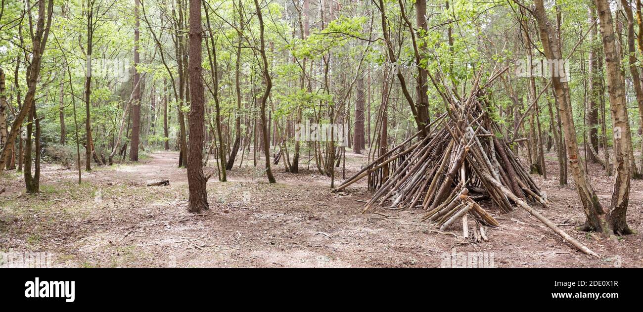 Den building forest hi-res stock photography and images - Alamy