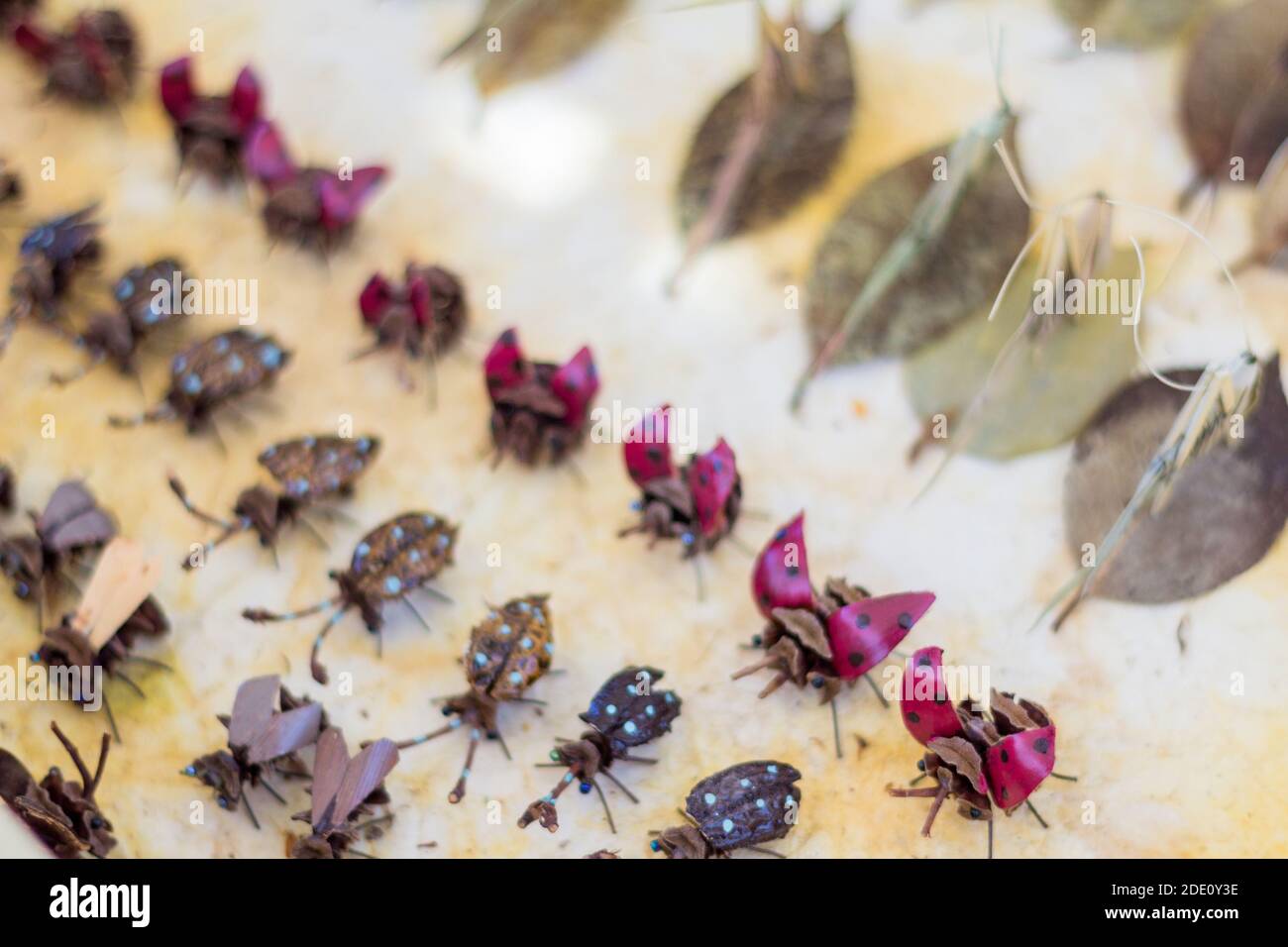Paper insects inside the Takayama insect museum in Takayama, Japan ...