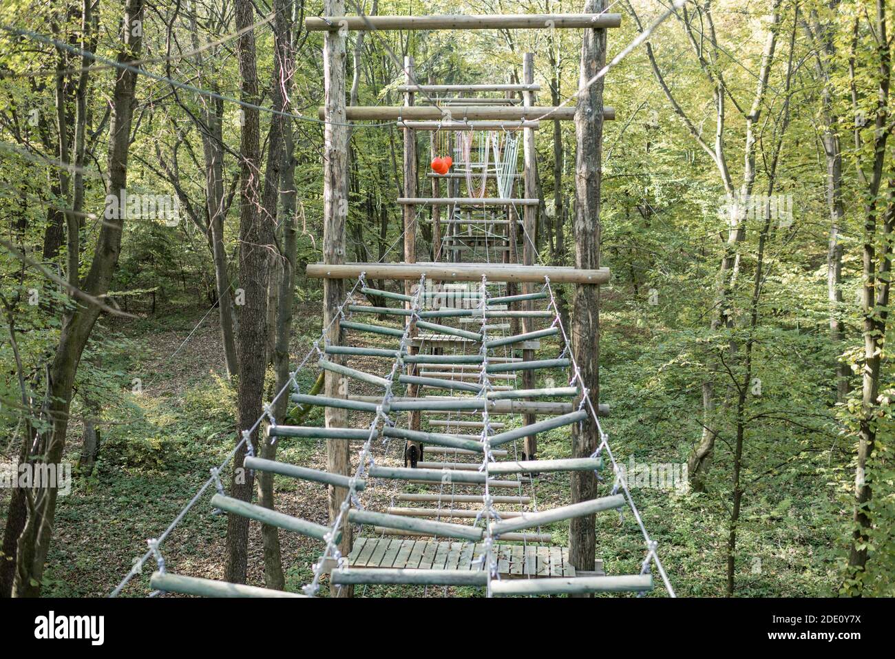 Rope park with obstacles in the forest Stock Photo - Alamy