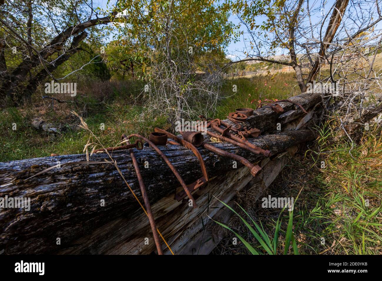 Old barn remains at Caroline Lockhart Historic Ranch Site in Bighorn ...