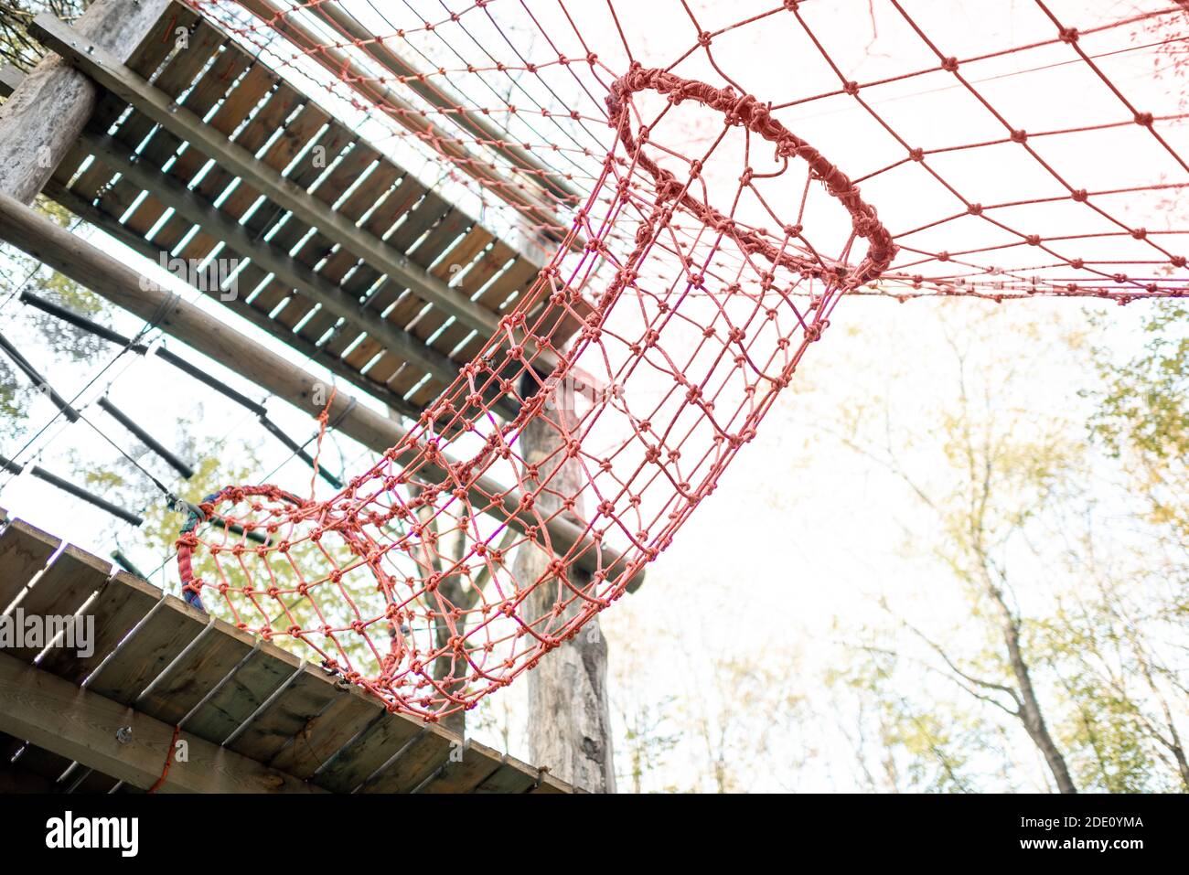 Rope park with obstacles in the forest Stock Photo - Alamy