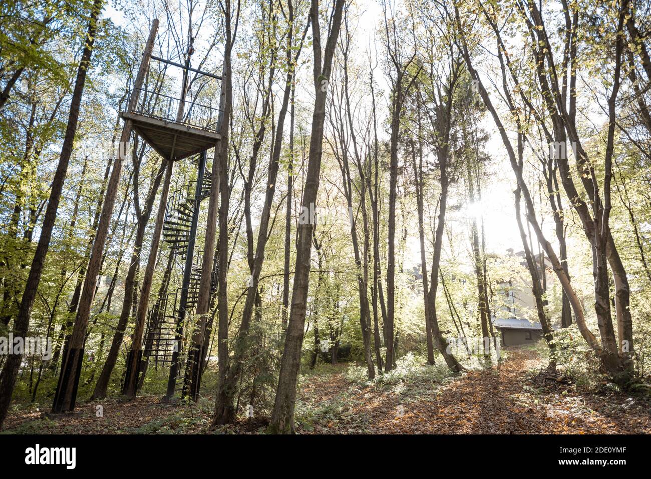 Amusement park with rope jumping tower in the forest Stock Photo - Alamy
