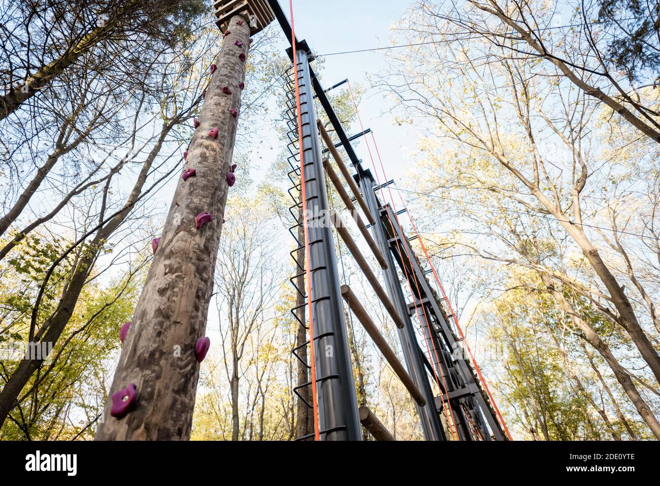 Rope park with obstacles in the forest Stock Photo - Alamy