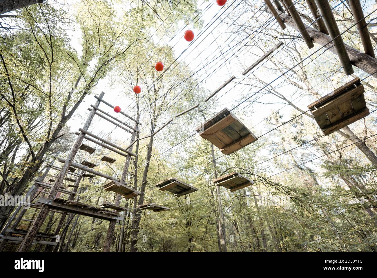 Rope park with obstacles in the forest Stock Photo - Alamy