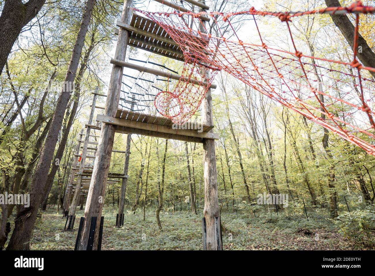Rope park with obstacles in the forest Stock Photo - Alamy