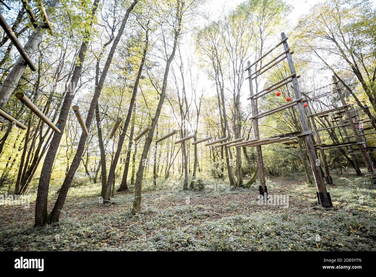 Rope park with obstacles in the forest Stock Photo - Alamy