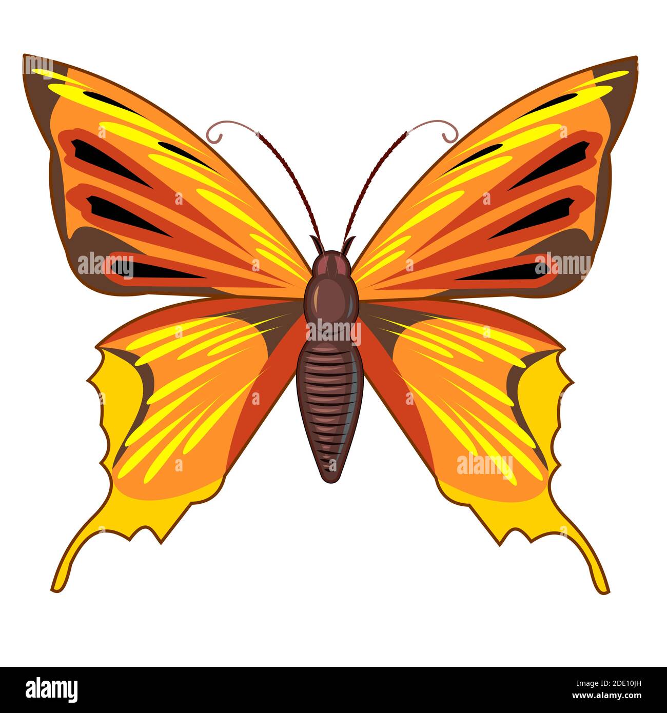 Fashionable butterfly Stock Vector Images - Alamy
