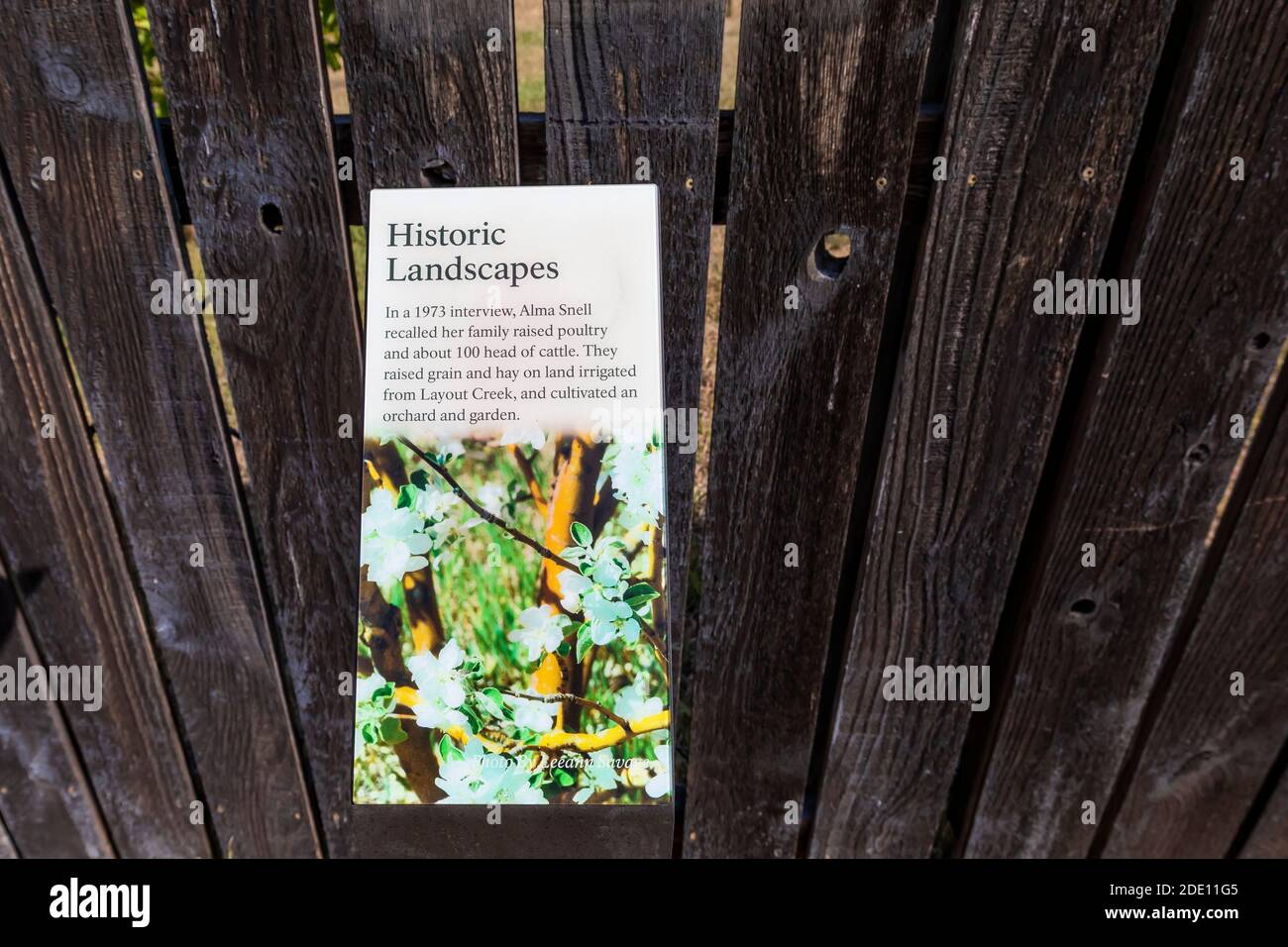 Snell farm hi-res stock photography and images - Alamy