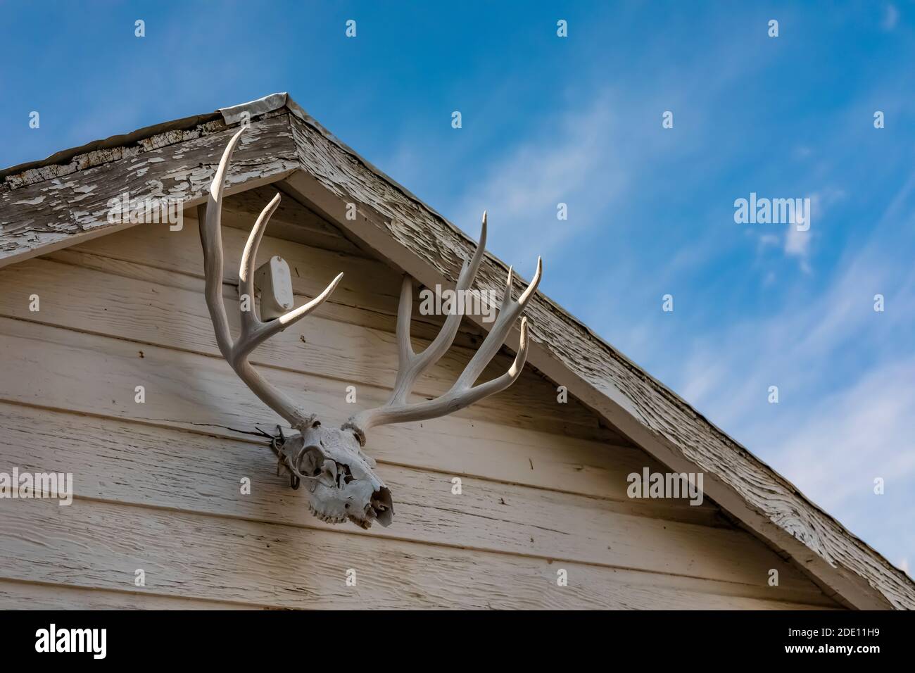 Mule Deer Antlers on a building at the historic Ewing-Snell Ranch at ...
