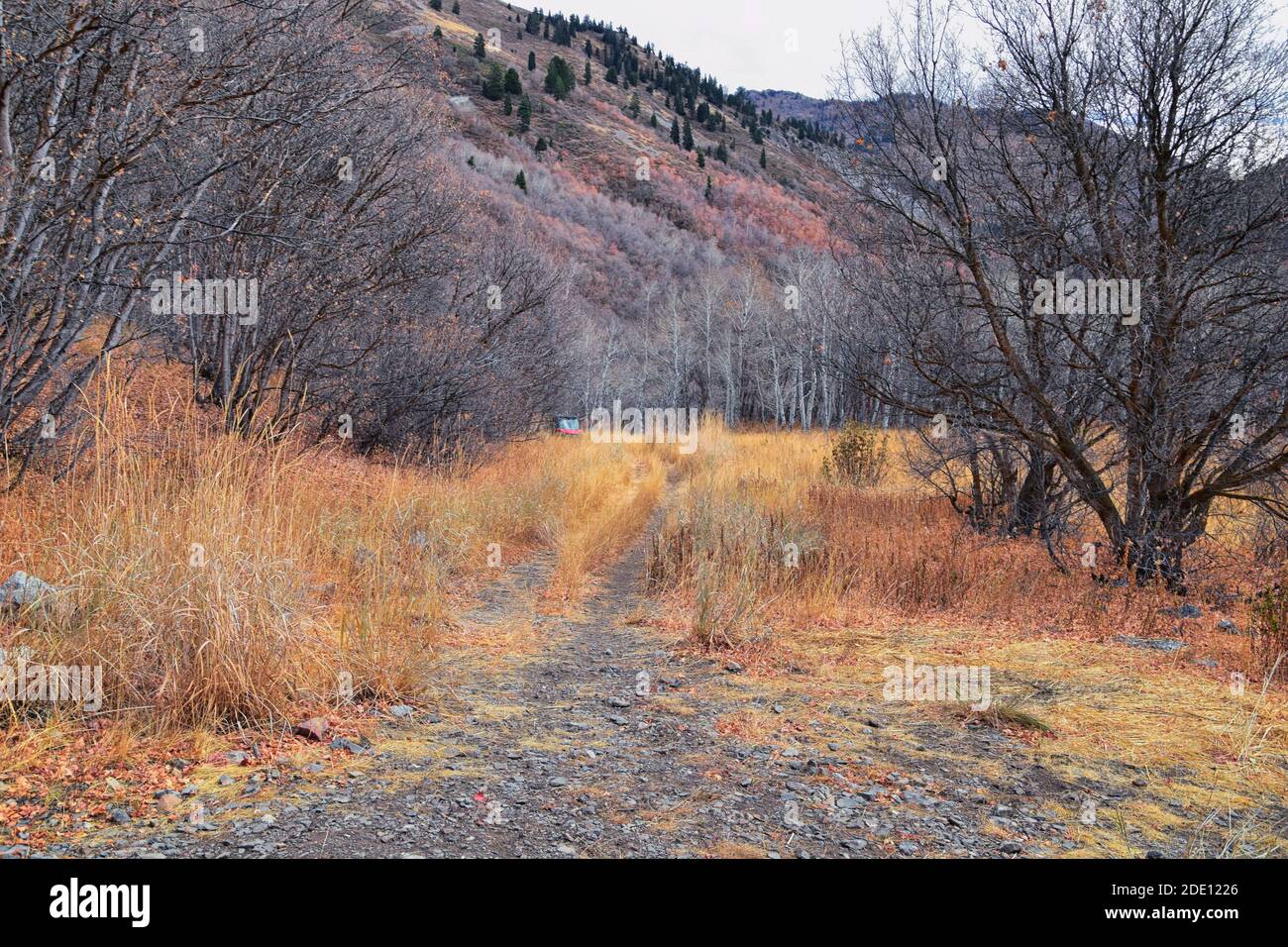 Slate Canyon hiking trail fall leaves mountain landscape view, around ...