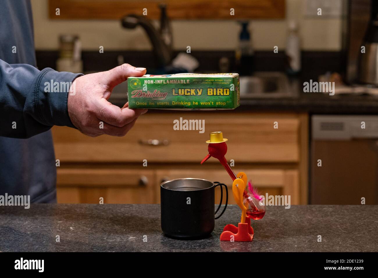Rush City, Minnesota - November 26, 2020: Male hand holds up the ...