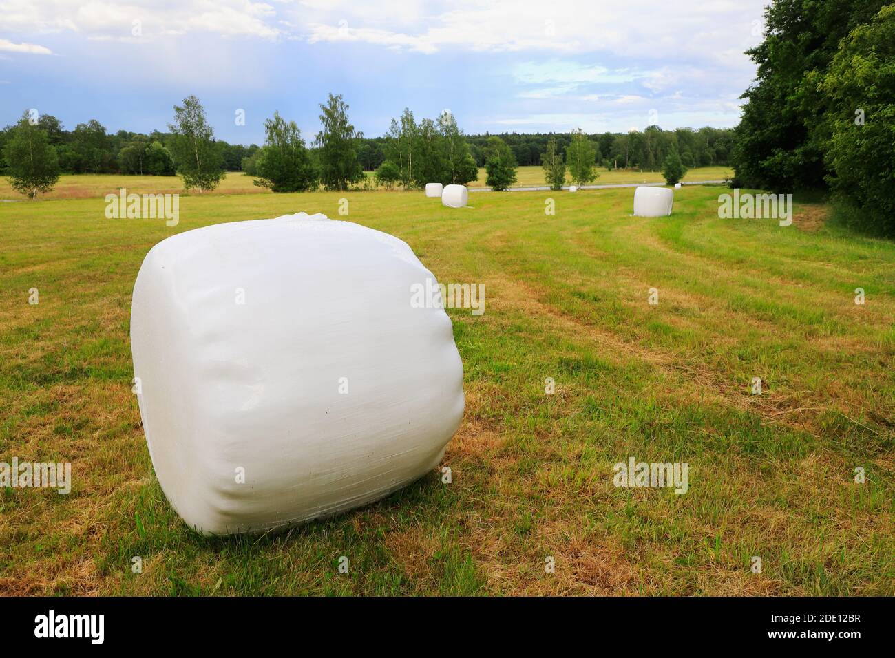 Wrapped bale hi-res stock photography and images - Alamy