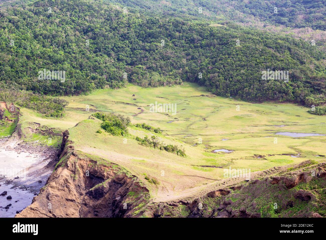 Clearing at the forest edge at an island off Cagayan, Philippines Stock ...