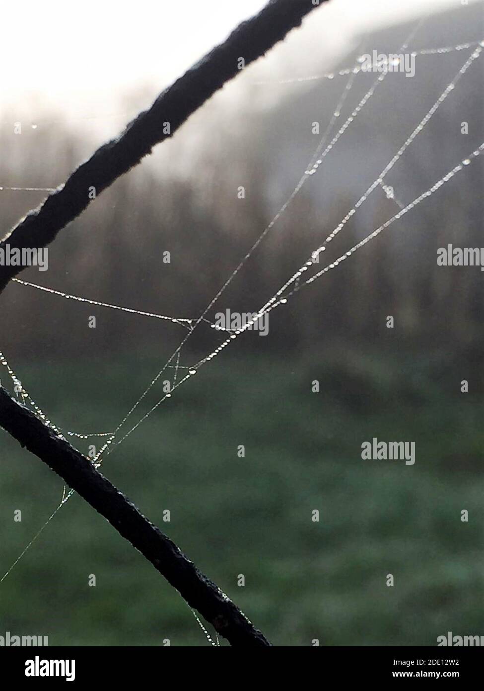 Close up wire fence hi-res stock photography and images - Alamy