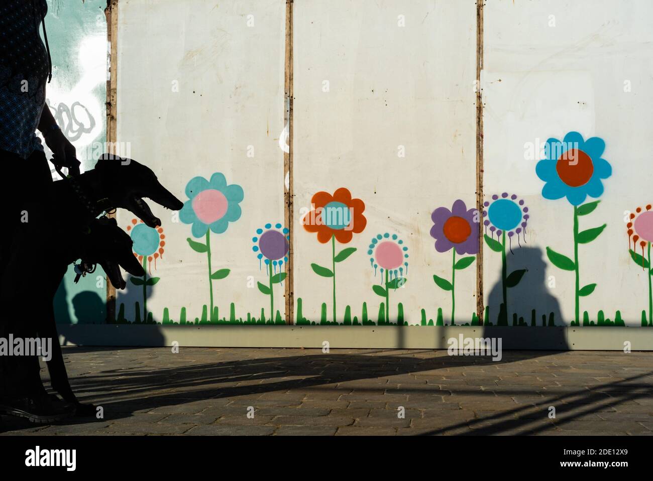 Scary dog shadows follow a shadow through flowers Stock Photo - Alamy