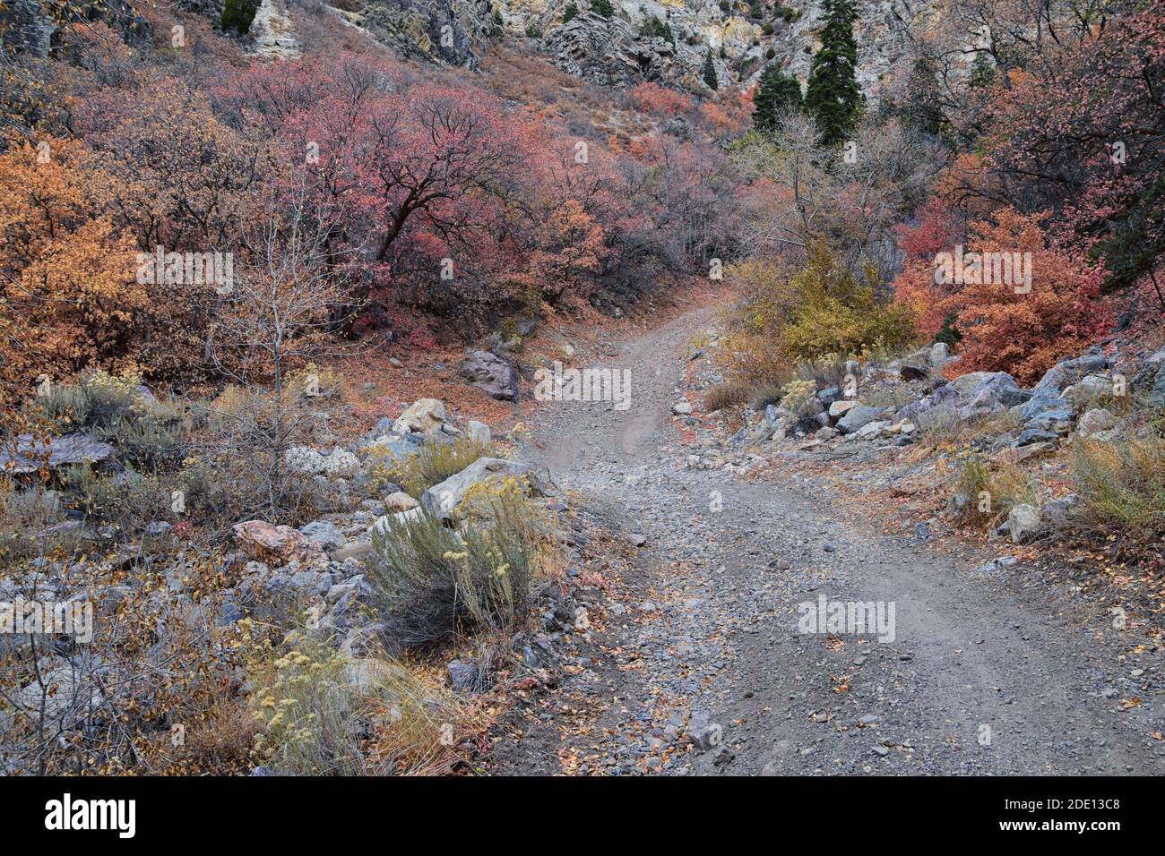 Slate Canyon hiking trail fall leaves mountain landscape view, around ...
