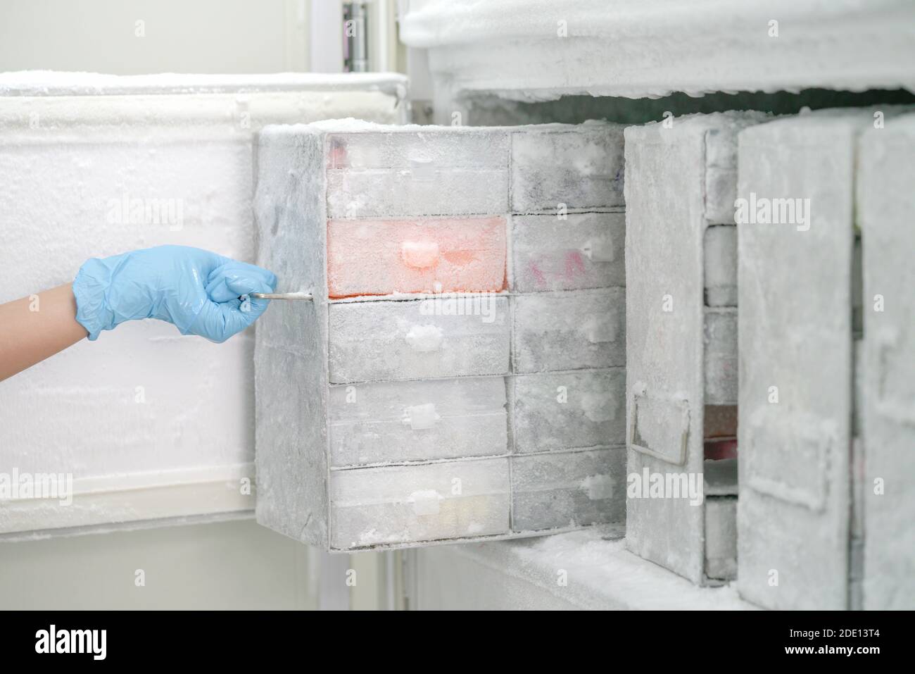 Biology lab freezer hi-res stock photography and images - Alamy