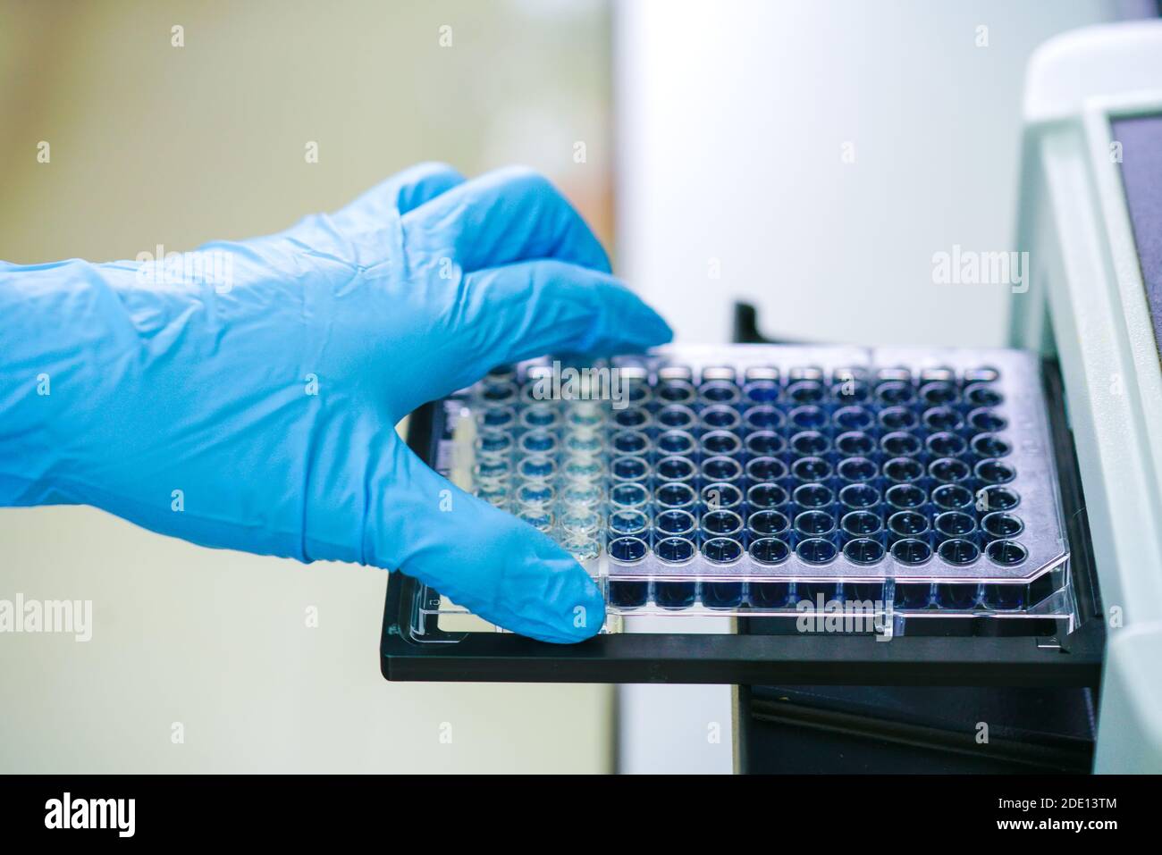 Loading ELISA test plate Stock Photo - Alamy Loading ELISA test plate Stock Photo - Alamy
